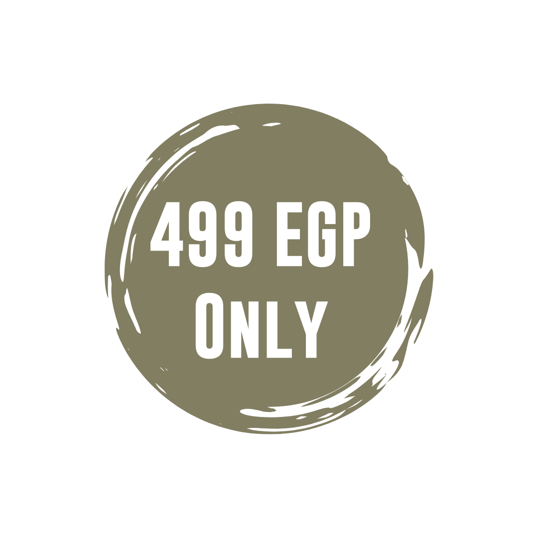 499 EGP – Home Hive